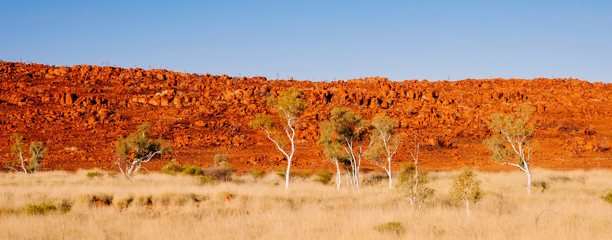 Pilbara – Jatu Maya
